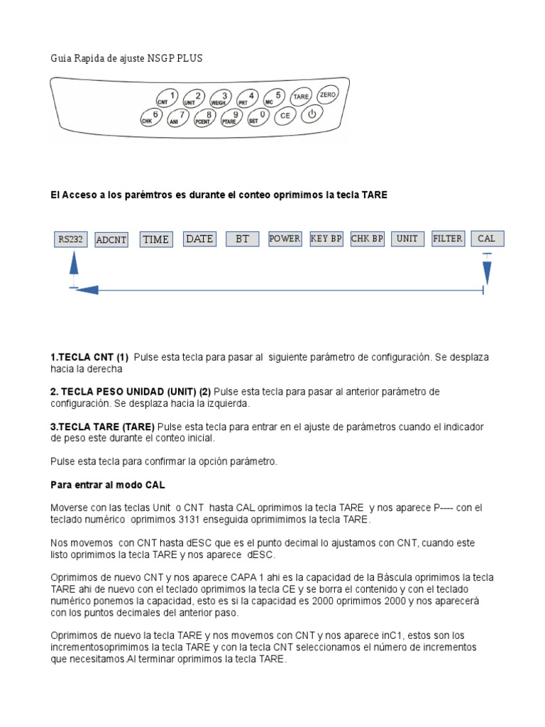 Guia Rapida para Calibrar NSGP PLUS | PDF