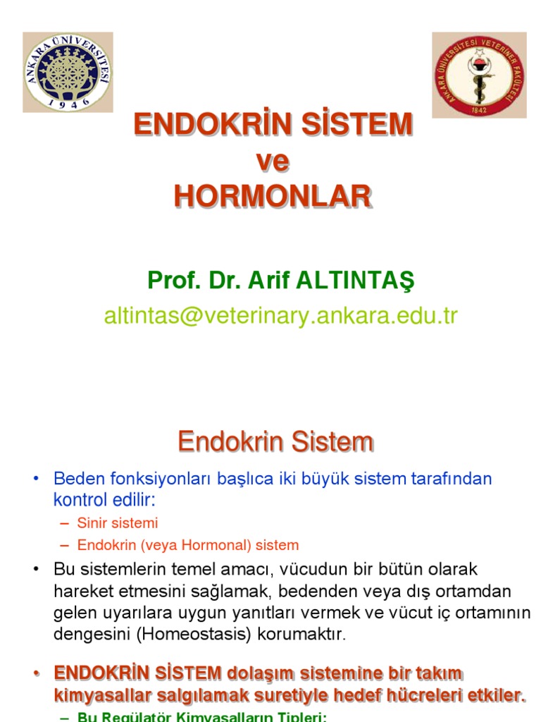 2-3. Hormonlar | PDF