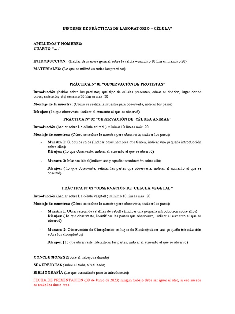 Informe de Prácticas de Laboratorio | PDF