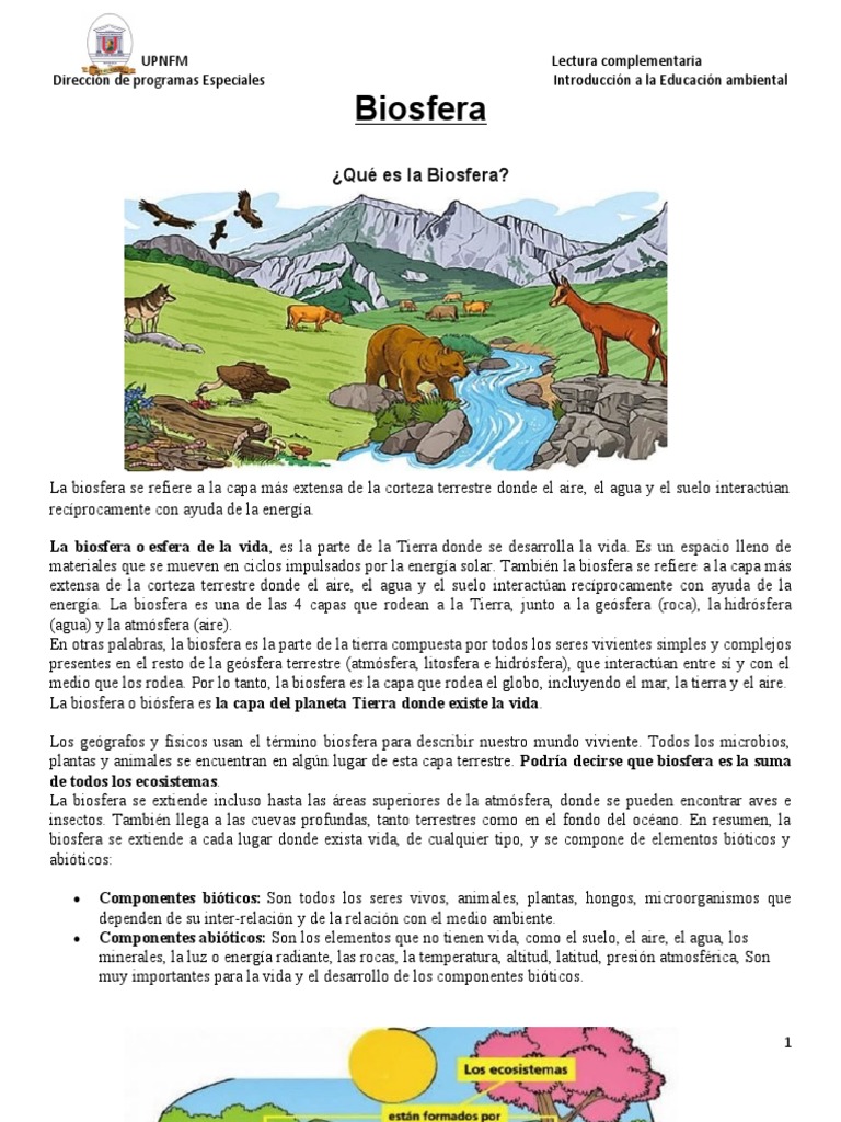 Biosfera y Ecosistema Lectura Complementaria 2 | PDF | Ecosistema | Tierra