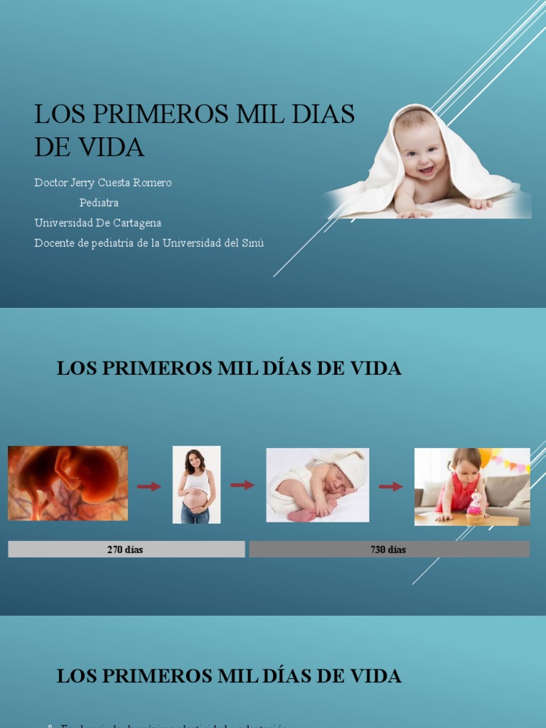 Los Primeros Mil Dias de Vida | PDF Los Primeros Mil Dias de Vida | PDF