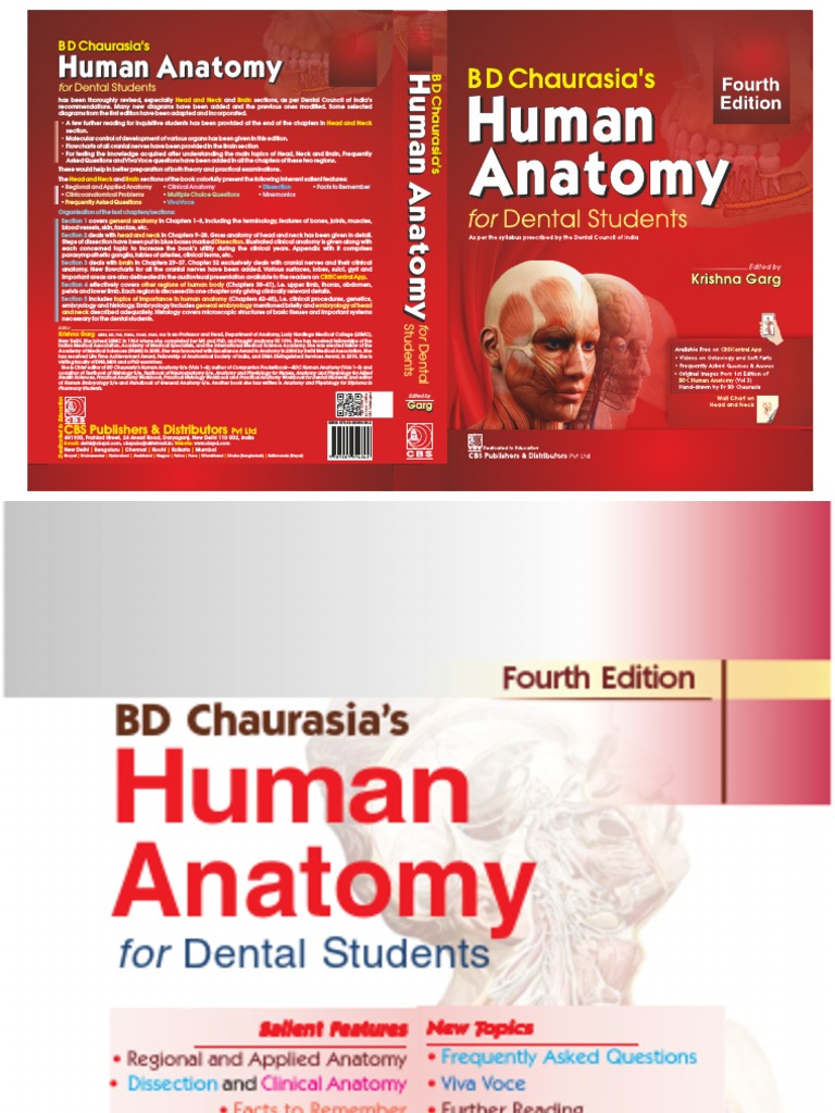 Human Anatomy Human Anatomy Human Anatomy | PDF | Common Carotid Artery ...