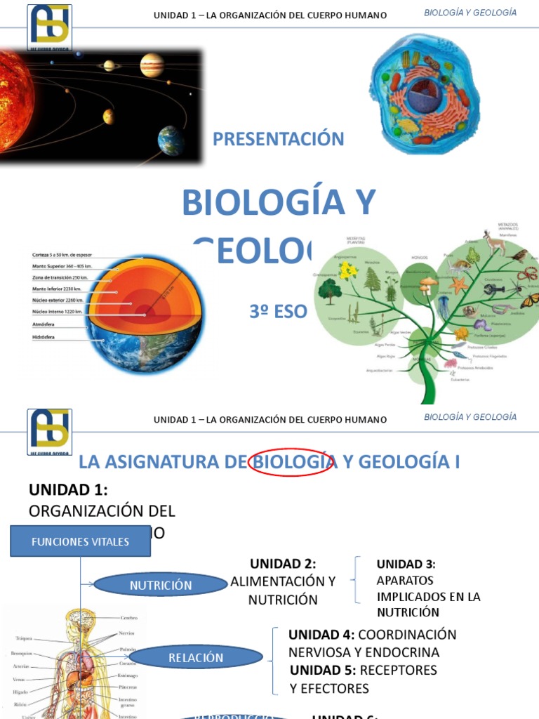 3 ESO - Unidad 1 - Organizacion Del Cuerpo Humano | PDF | Biología Celular) | Nucleo celular