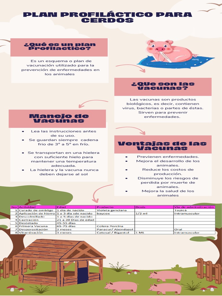 Plan Profiláctico para Cerdos | PDF