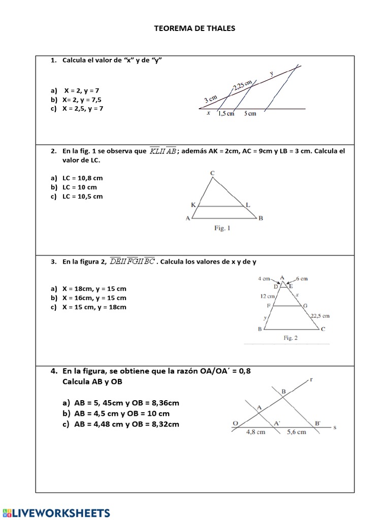 Teorema de Thales - Taller | PDF