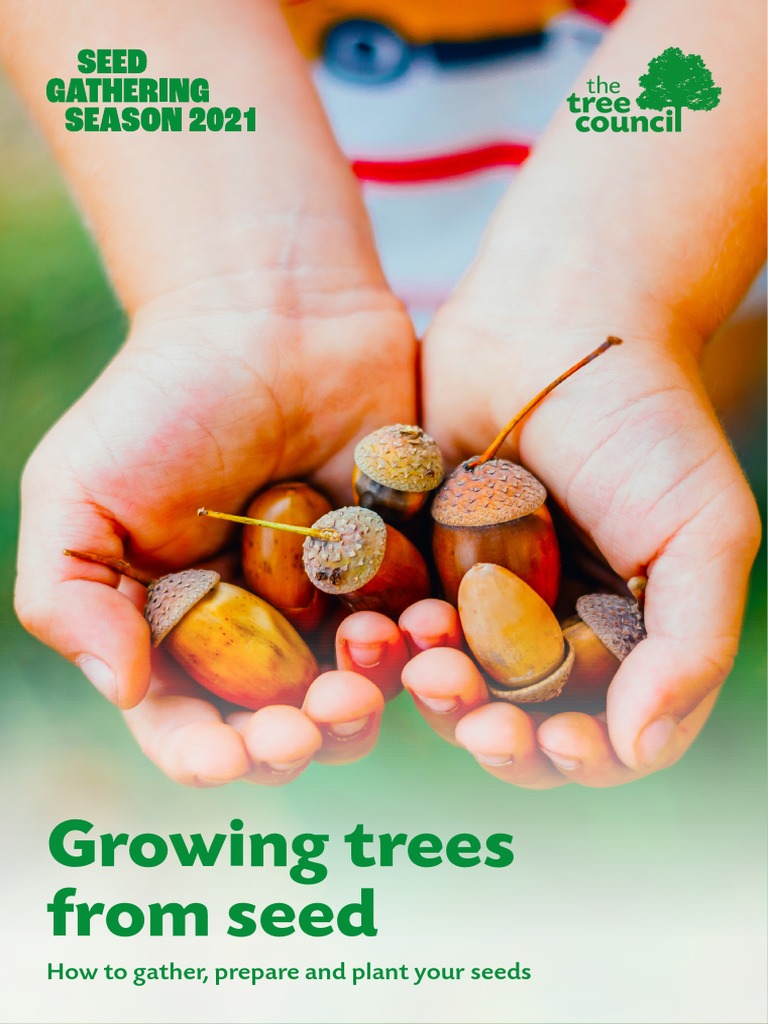 Growing Trees From Seed | PDF