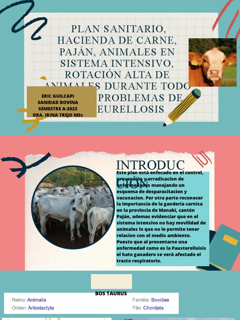 Plan Manejo Sanitario | PDF | Vacas | Especialidades Medicas