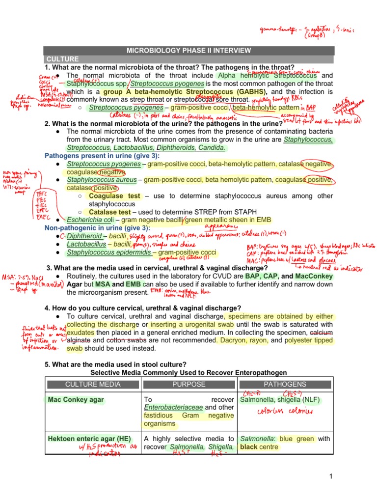 Microbiology Interview Insights | PDF | Streptococcus | Clinical Medicine