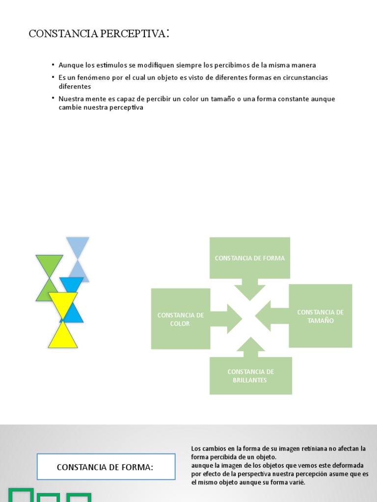 Constancia Perceptiva Nayeli Olaya | PDF | Percepción | Color