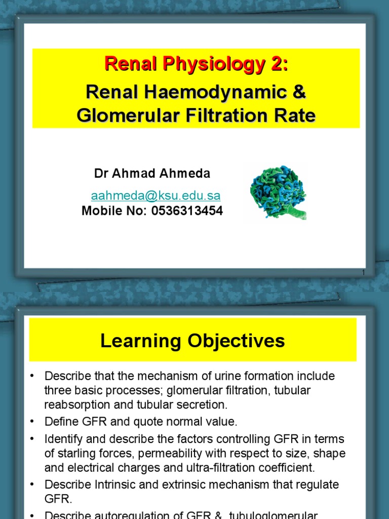 2-Renal Physiology 2 (Renal Haemodynamic and GFR) | PDF | Kidney | Physiology