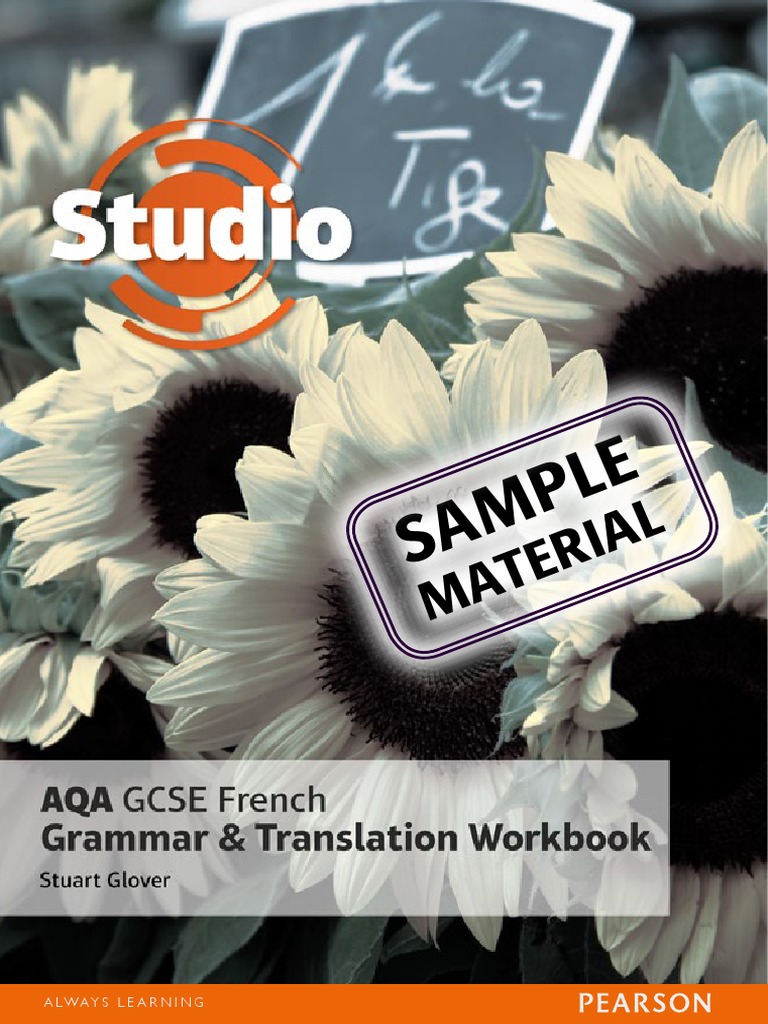 8 Page Aqa Gcse French Studio Grammar Translation Workbook | PDF ...