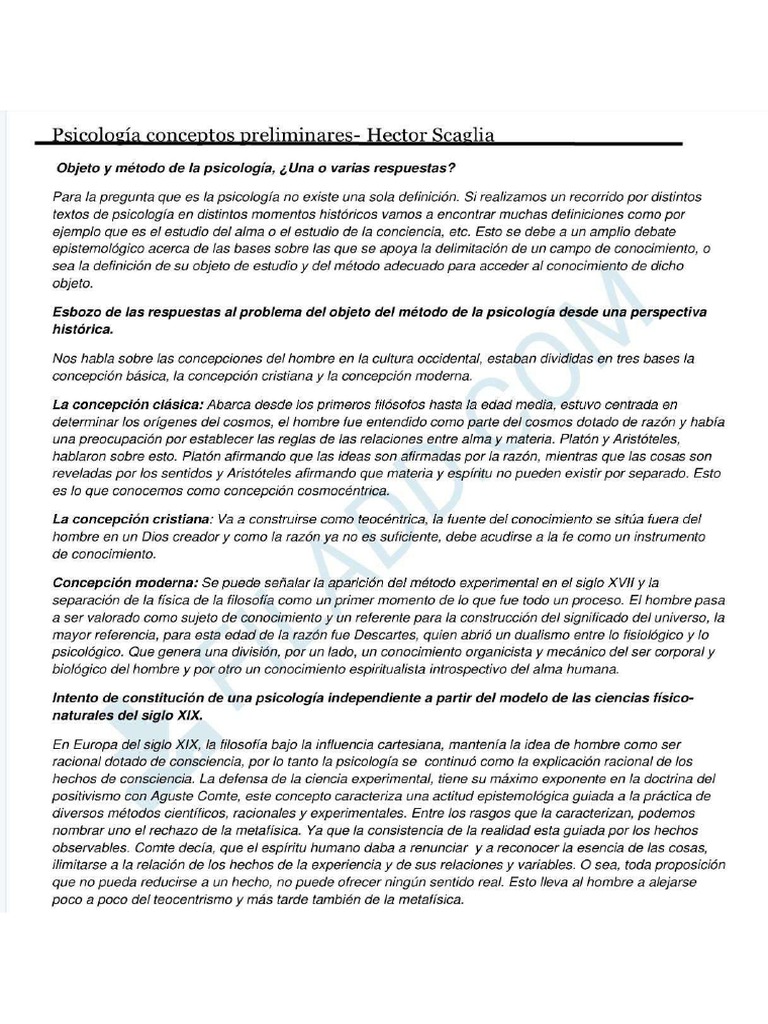 Resumen Scaglia Conceptos Preliminares | PDF