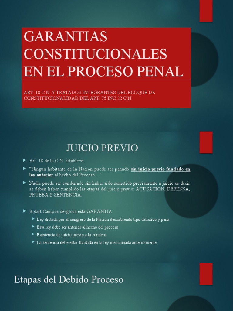 Garantias En El Proceso Penal Pdf