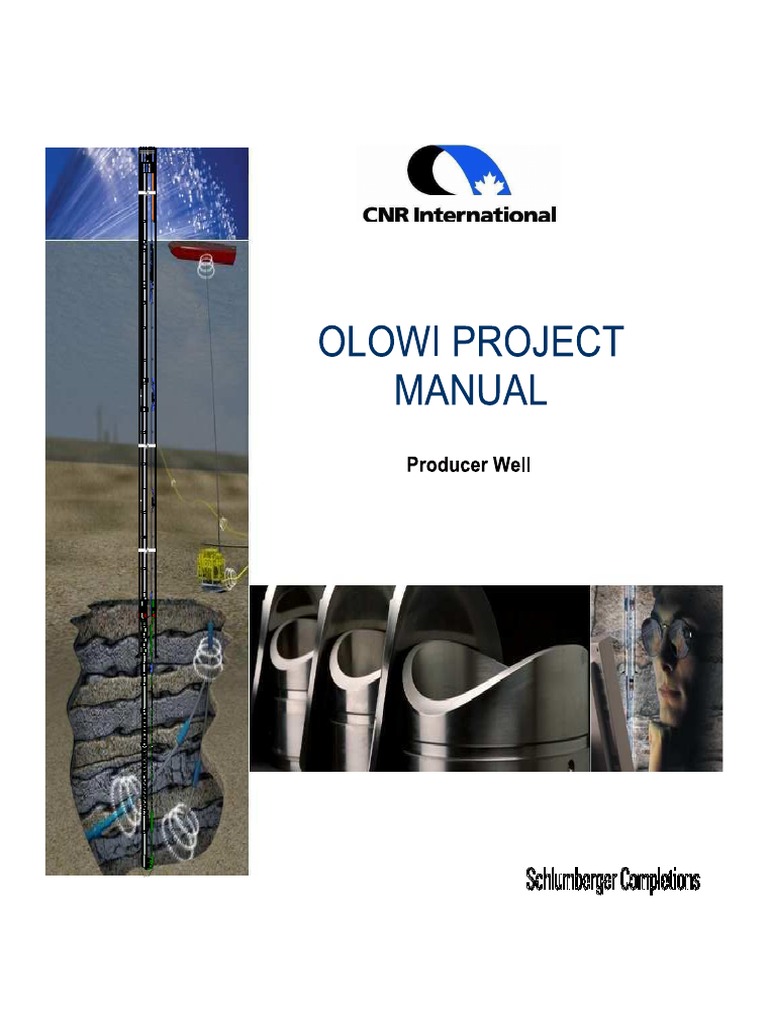 CNRI Lower CPL | PDF