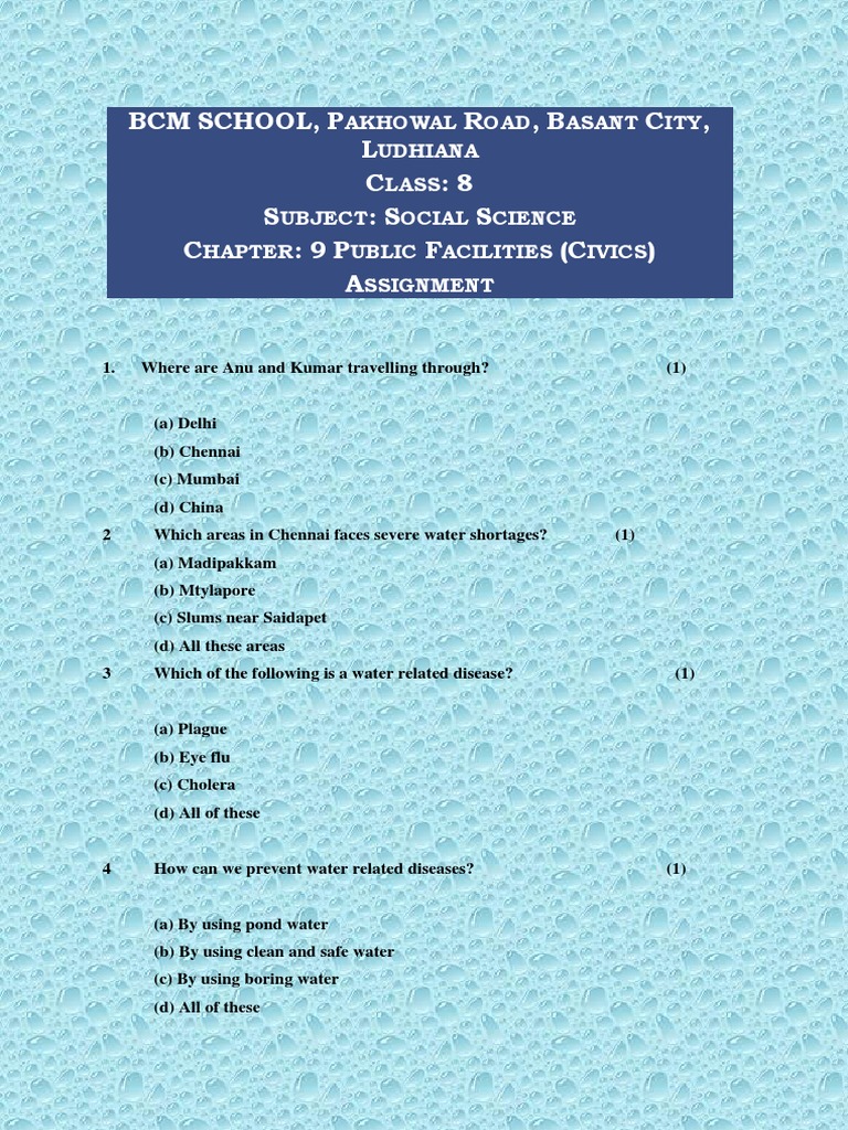 Class 8 Assignment | PDF