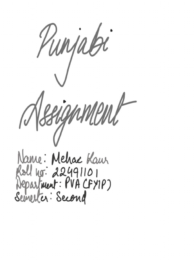 Punjabi Assignment | PDF