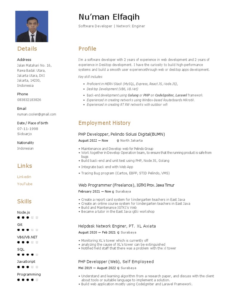CV Portfolio Numan Elfaqih - 013820 | PDF
