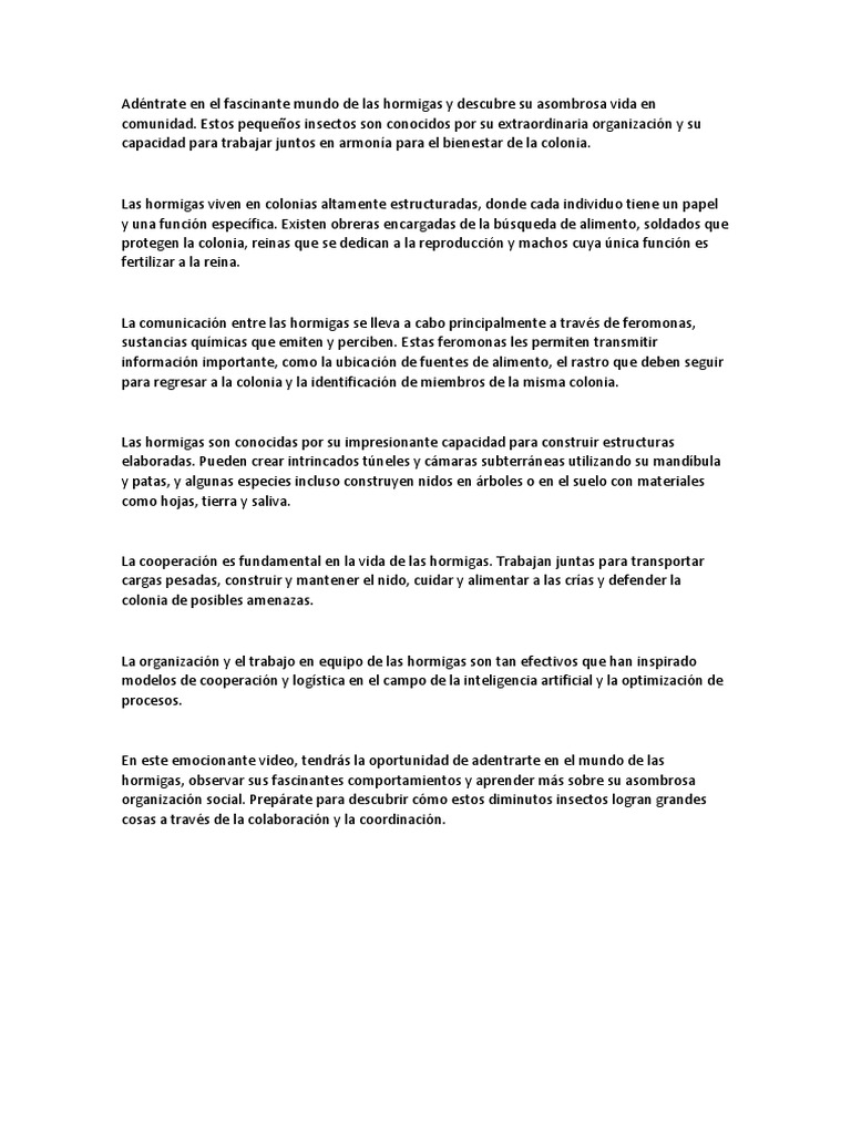 Adéntrate en El Fascinante Mundo de Las Hormigas y Descubre Su ...