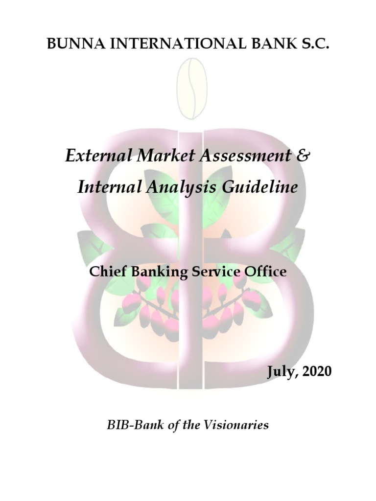 External Market Assessment and Internal Analysis Guideline | PDF ...