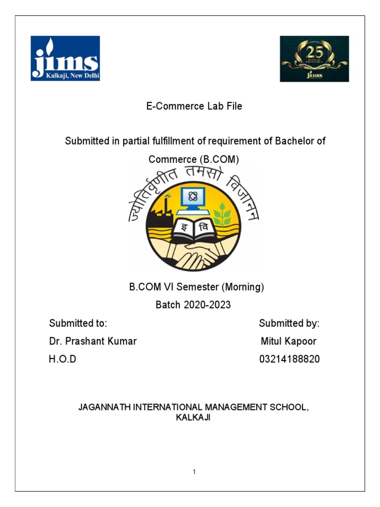 Mitul Kapoor Ecomm File | PDF | Project Management | Analytics