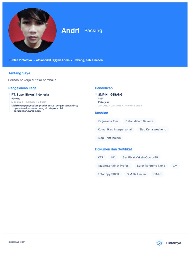 Andri Pintarnya CV | PDF