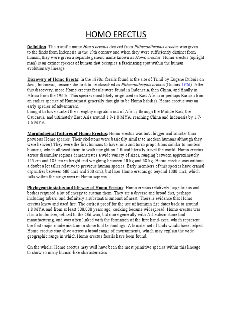 Homo Erectus | PDF | Homo | Stone Age