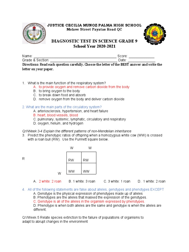 Diagnostic Test Sy 2020-2021 | PDF