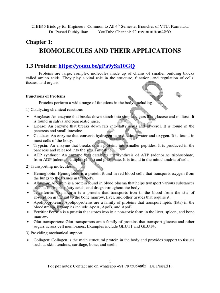 1.3 Proteins, Biology For Engineers DRP | PDF | Cell (Biology ...
