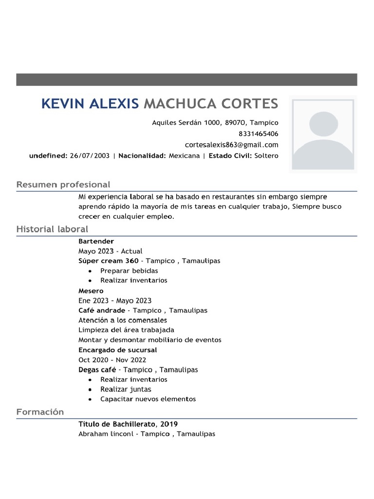 CV Kevin Alexis | PDF