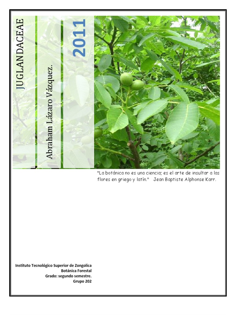 JUGLANDACEAE | PDF | Horticultura y jardinería | Plantas