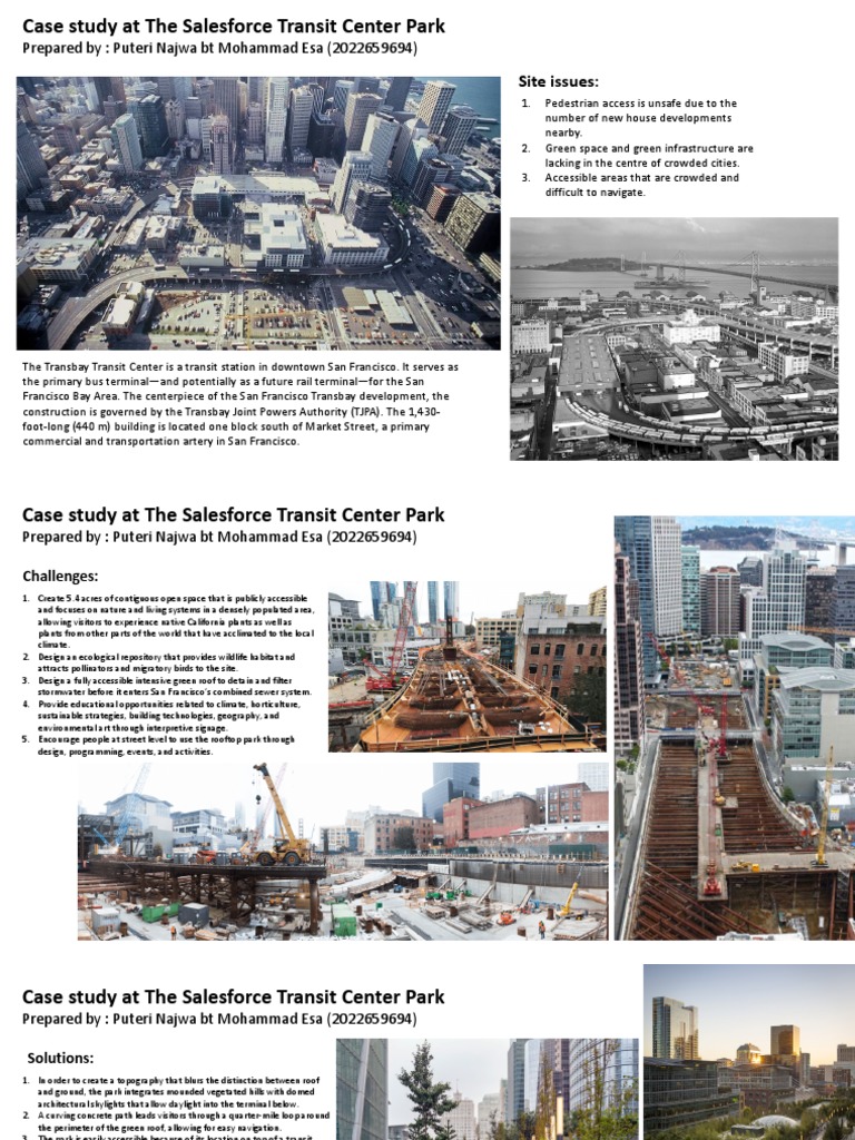Urban Case Study | PDF