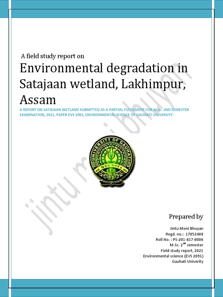 Satajaan Wetland Environmental Report | PDF | Wetland | Habitat Destruction