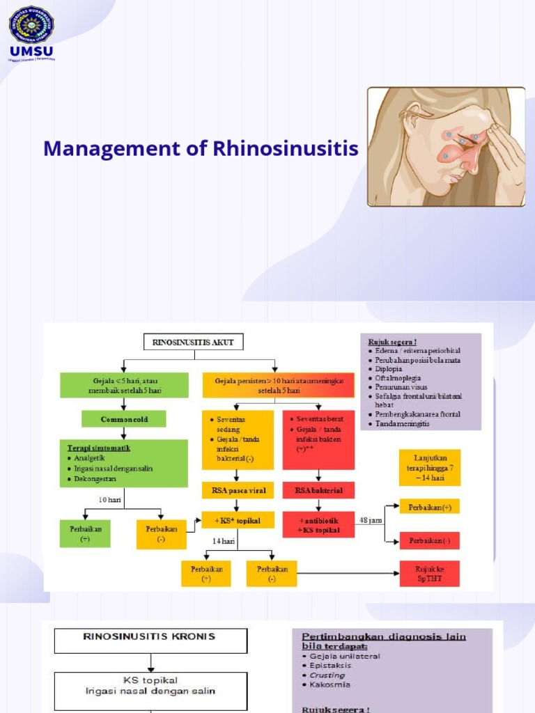 Tatalaksana Rhinosinusitis | PDF