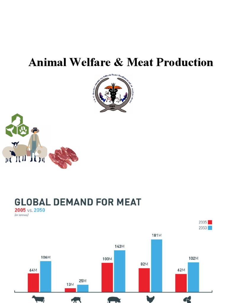 Animal Welfare | PDF | Slaughterhouse | Meat