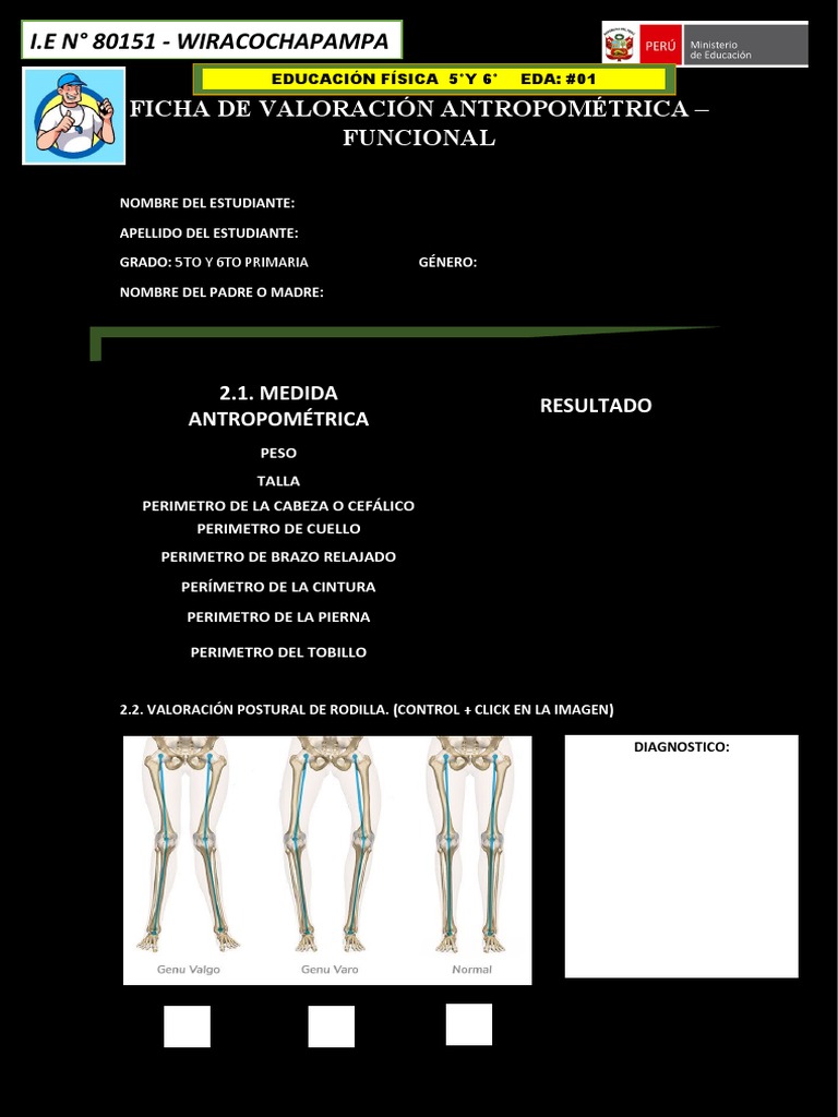 Ficha de Valoración Antropométrica Funcional | PDF