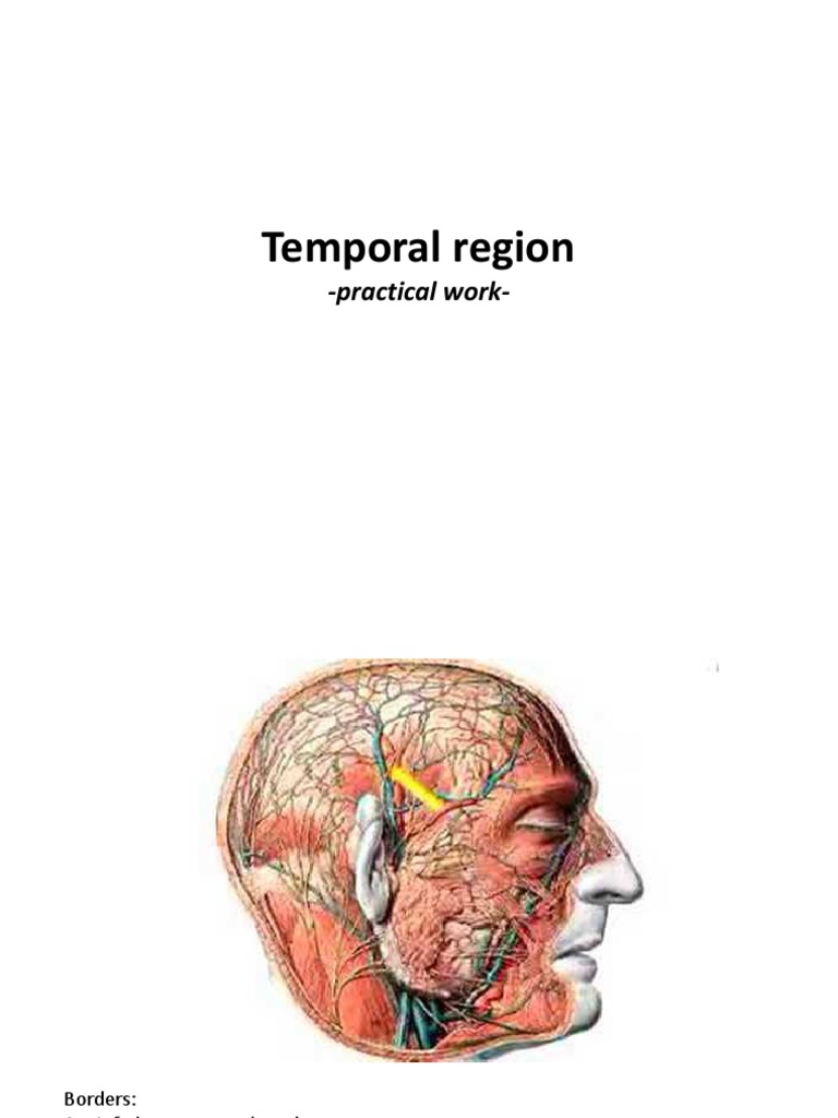 2020 03 18 P6 TRHN- Temporal region and retromandibular fossa | PDF ...