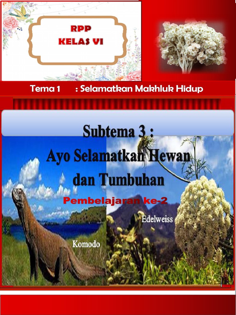 Ayo Selamatkan Hewan Dan Tumbuhan | PDF