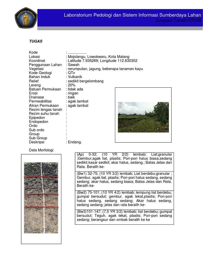 Endang Sri Istanti Putri - LKM 2 Tutorial MGKT | PDF
