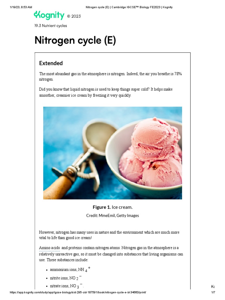 Nitrogen Cycle | PDF | Nitrogen | Nitrate