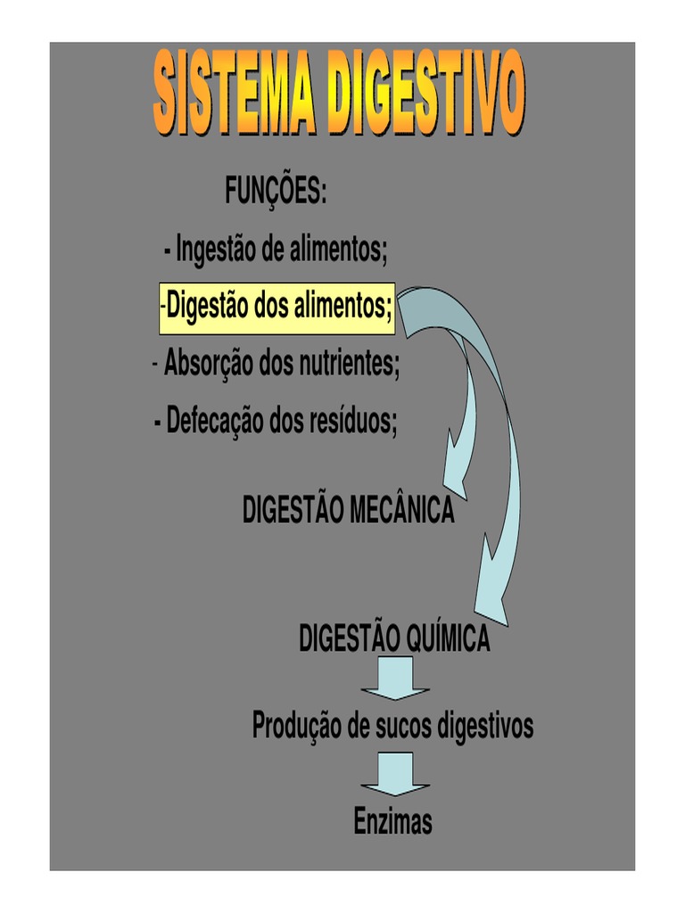 1ºApresentação-Conh Anteriores | PDF