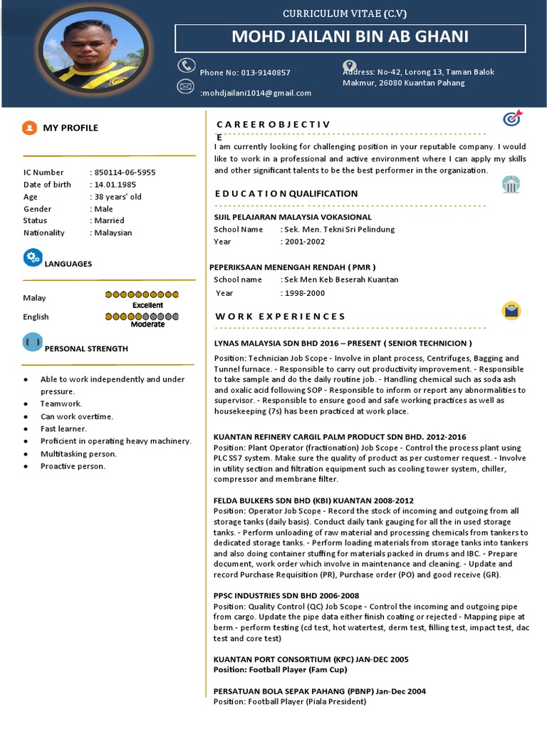 Mohd Jailani's Career Overview | PDF