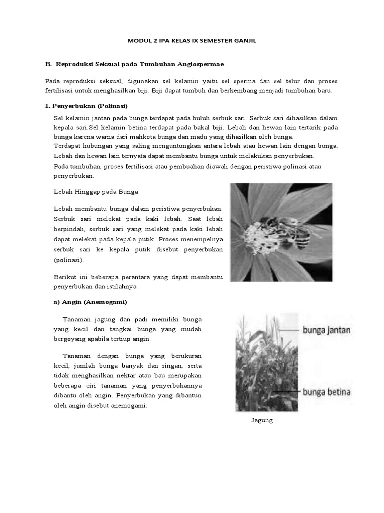 Tugas Ke 6 IPA Kelas 9 | PDF