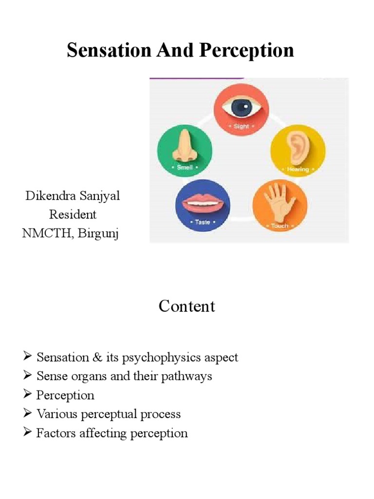 Understanding Sensation and Perception | PDF | Senses | Perception