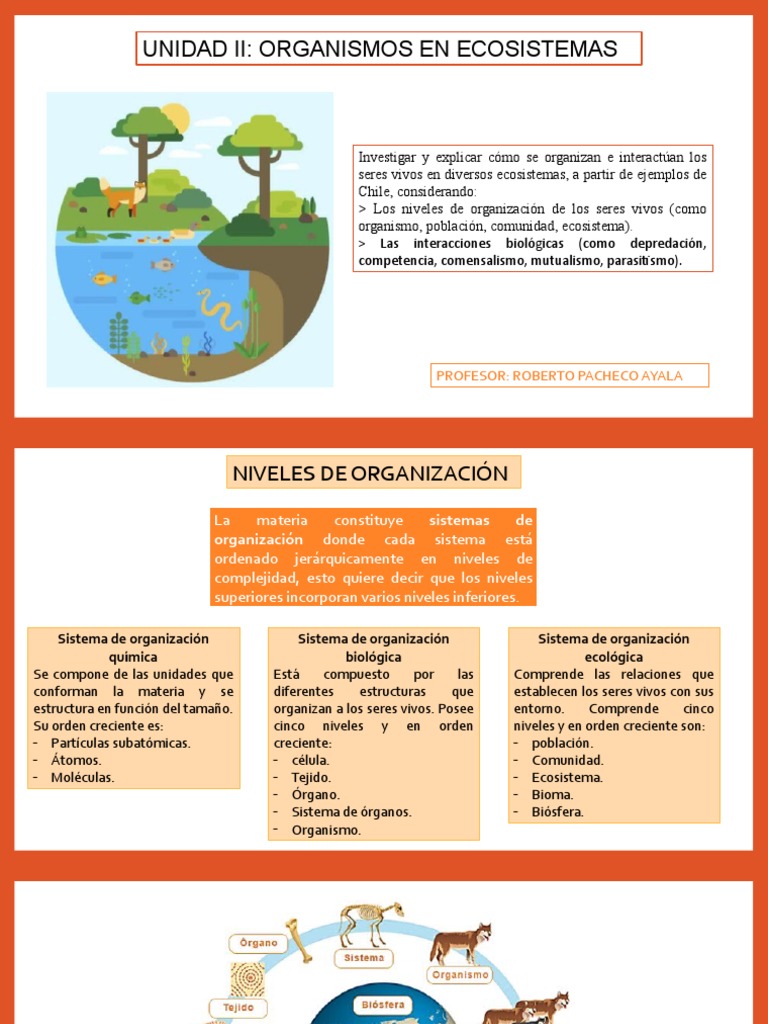 Organismos en Ecosistema 2023 | PDF | Organismos | Ecosistema