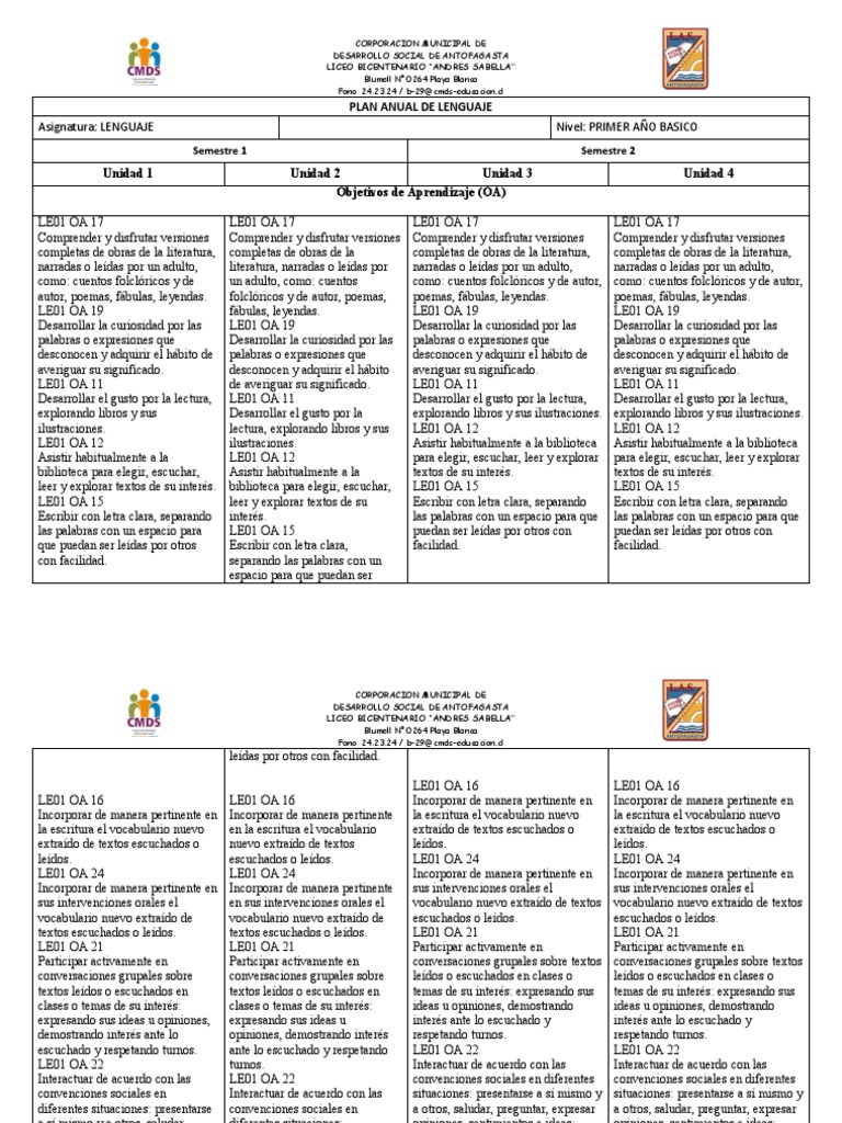 Plan Anual de Lenguaje Primero Básico | PDF | Comprensión lectora | Palabra