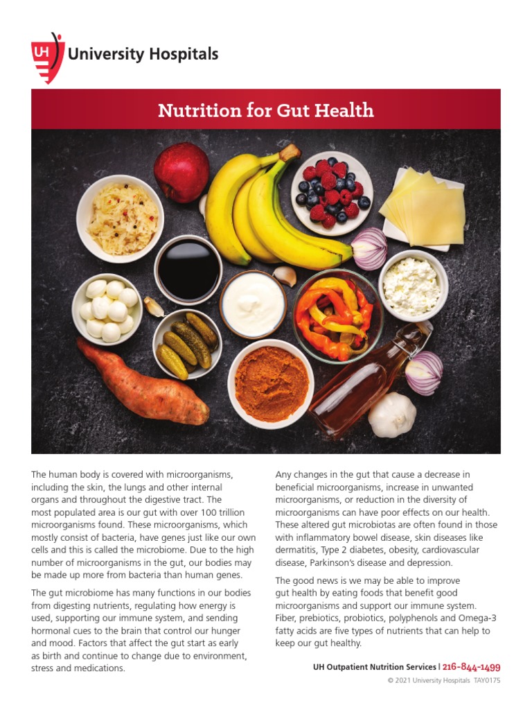 Nutrition For Gut Health | PDF | Dietary Fiber | Diet & Nutrition