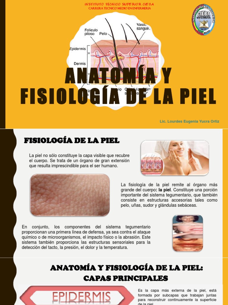 Anatomia y Fisiologia de La Piel-22 | PDF