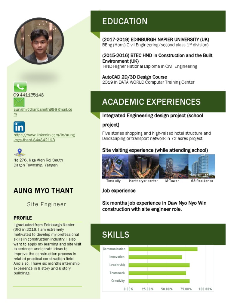 AMT CV Form For Work | PDF