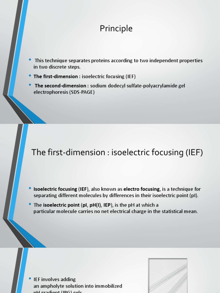 2D Electrophoresis | PDF | Gel Electrophoresis | Biochemistry