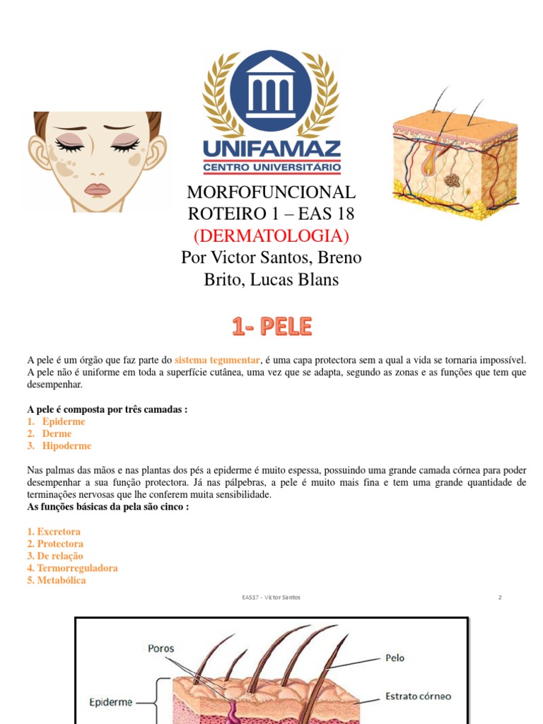 Morfo 1 - EAS 18 | PDF | Pele | Lepra